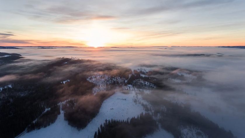 Why is the Decarbonization Process Important for Mitigating Climate Change?